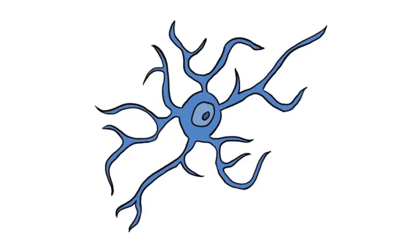 Scientific Resources | Biospective